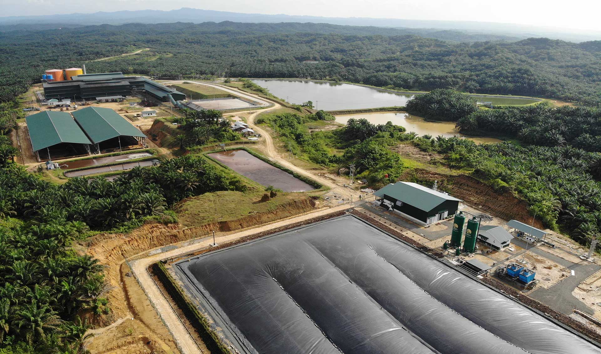 Enabling Sustainable Palm Oil Mills: The Benefits of Biomass and Biogas ...